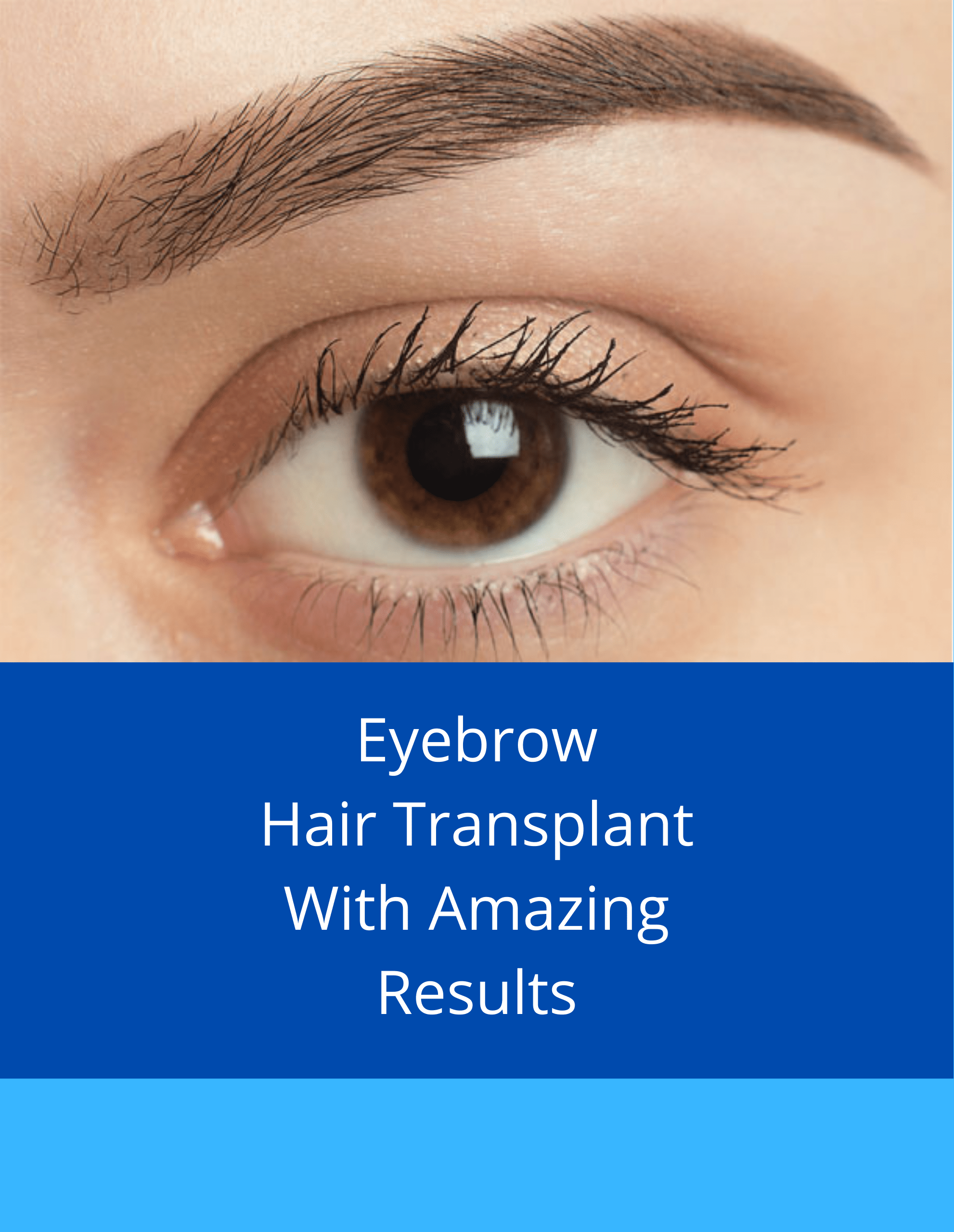 Eyebrow Hair Fibers at Amy Heyer blog